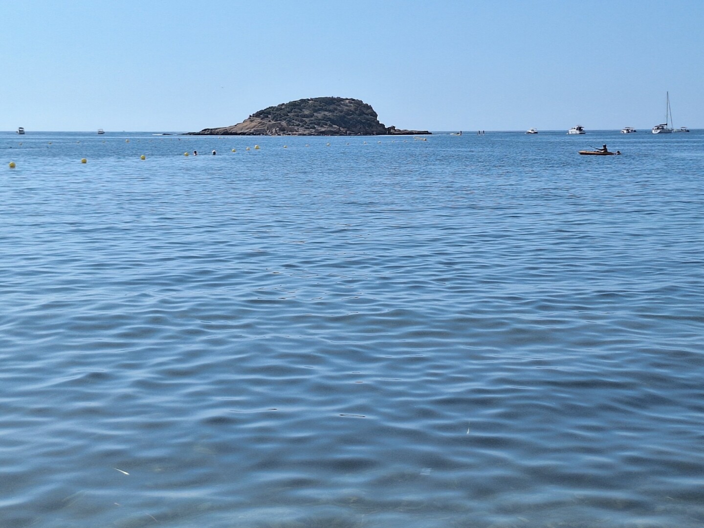 Snorkel y fotografía submarina en la Isla de L´Olla, Altea – Foto ...